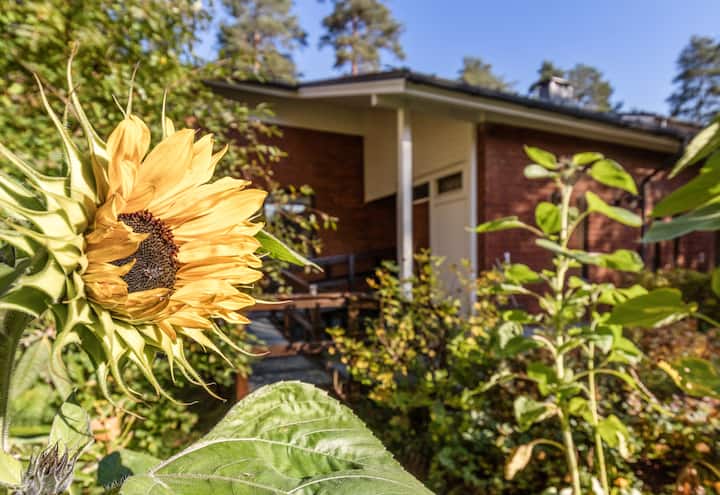 Viihtyisä Asunto Luonnon ääRellä - Kuopio