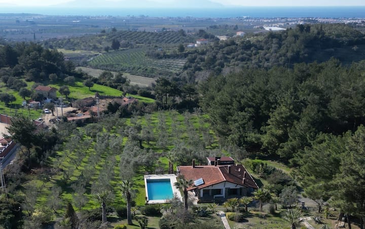 Private Villa In Olive Garden - Davutlar