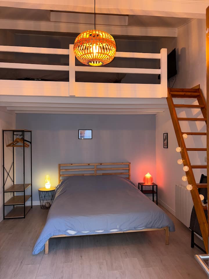 Studio Très Calme  à Decines Centre - Meyzieu