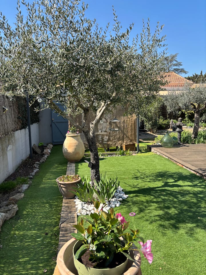 Studio Ayant Tout D’un Grand - Draguignan