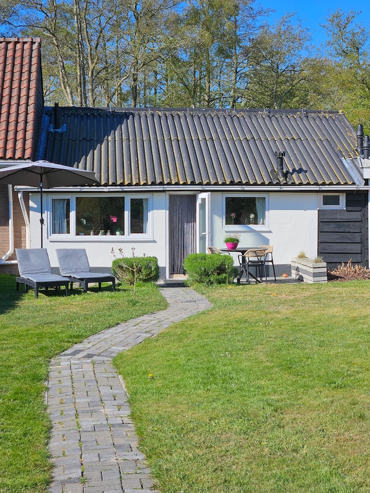 Cottage, Sfeervolle Cottage In De Natuur - Burgh-Haamstede