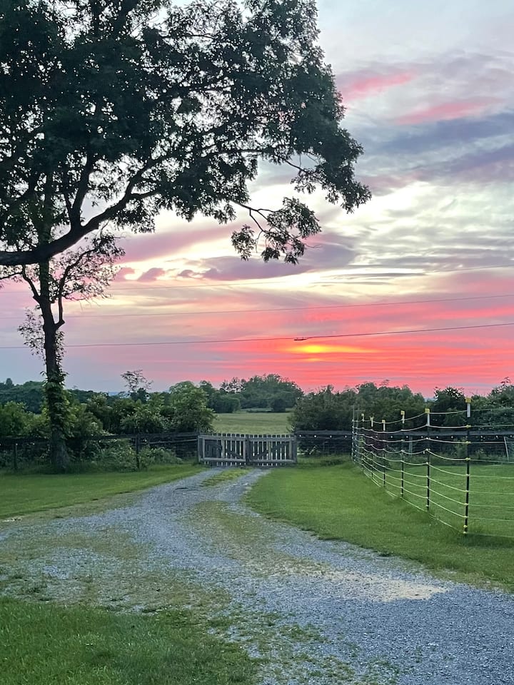 Happy Hen Farmhouse - Strasburg, VA