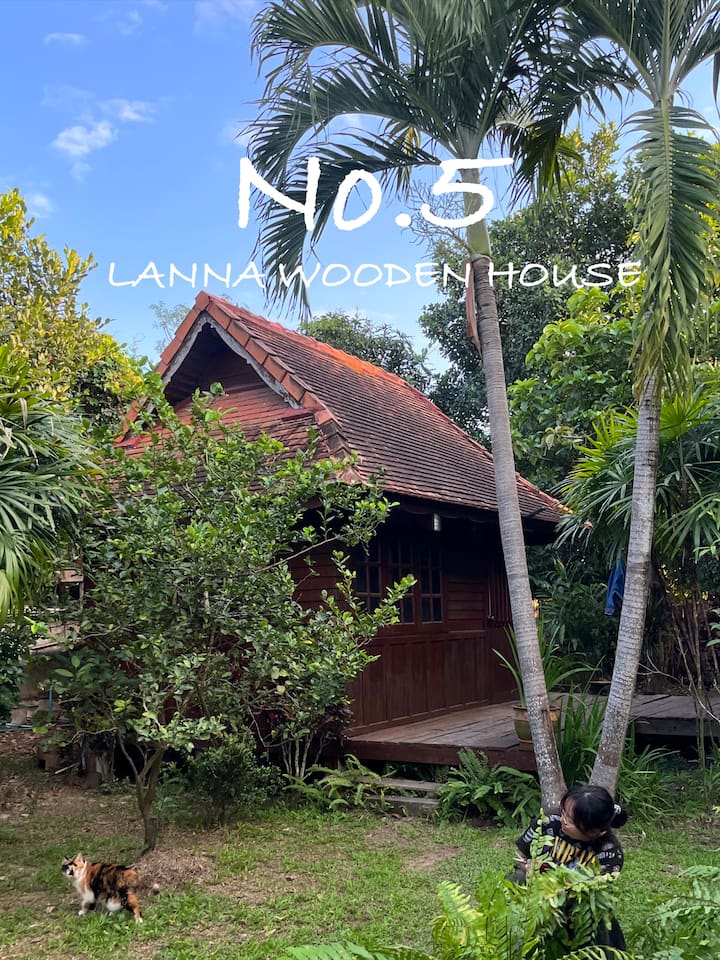 Mushroom Chill House No.5 - Chiang Mai