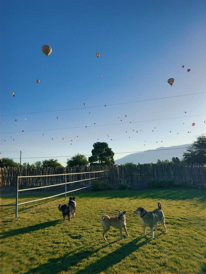 Balloon Fiesta Views | King Suite | 3 Bed 2 Bath - Rio Rancho, NM