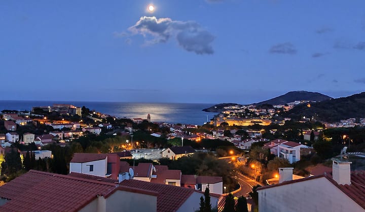 Superbe T3 Avec Vue Exceptionnelle - Collioure