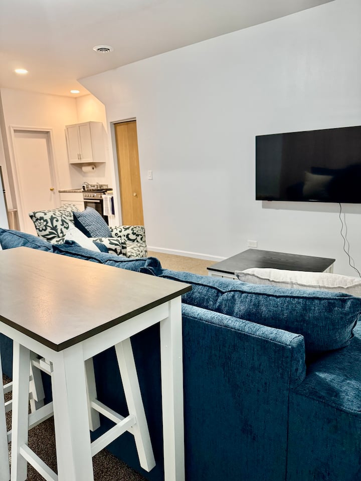 1 Bedroom |Easy Access To Downtown - Gage Park - Chicago