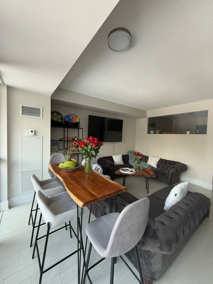 Condo In Downtown Toronto- Entertainment District - Toronto