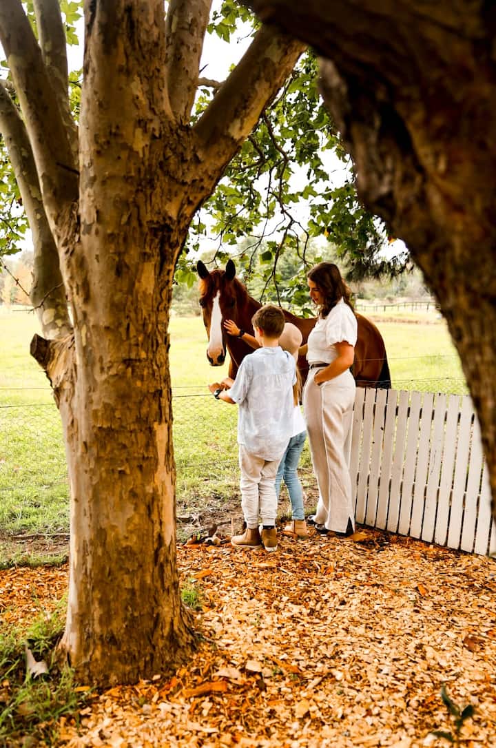 Cosycottage
Horse Farm Firepit
Dog Friendly - New South Wales