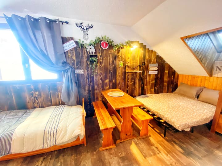Studio Les Sybelles
Ski Aux Pieds
4/6 Couchages - Saint-Sorlin-d'Arves