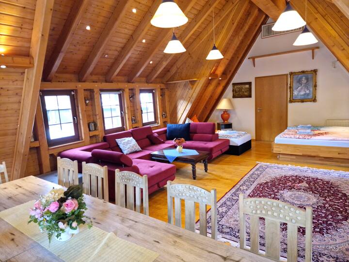 Große Ferienwohnung In Seiffen - Kurort Seiffen