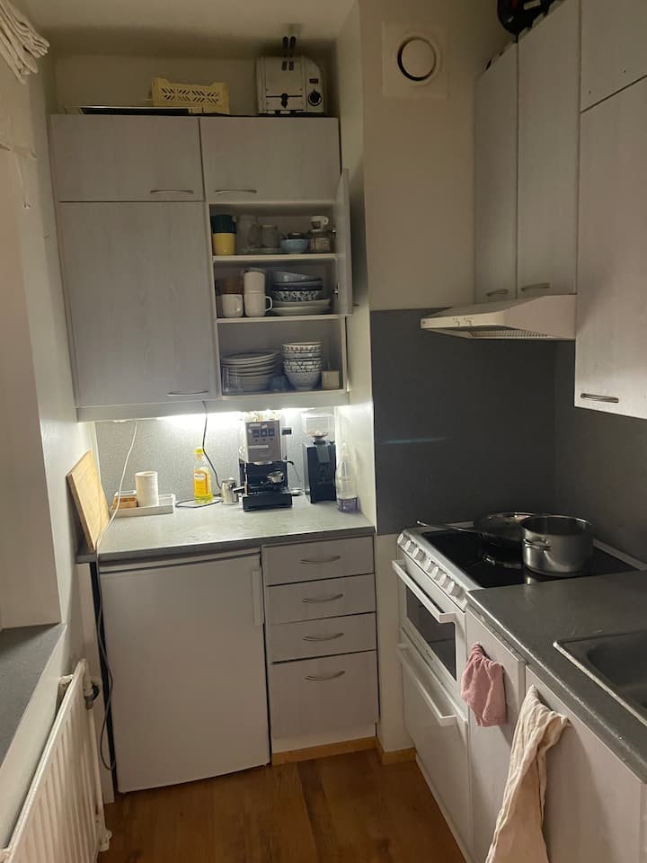 1-bedroom Studio Near Nature - Helsinki