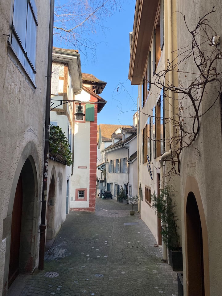 Charaktervolle Altbauwohnung - Basel