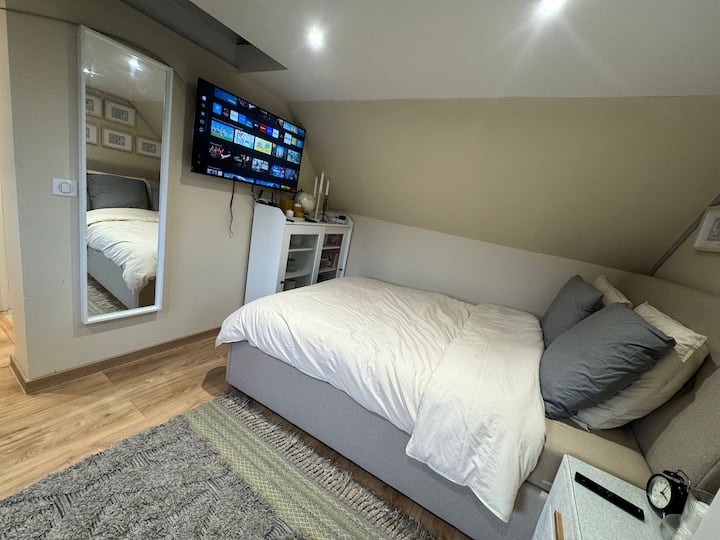 Appartement F1 Meublé - Lac du Baggersee