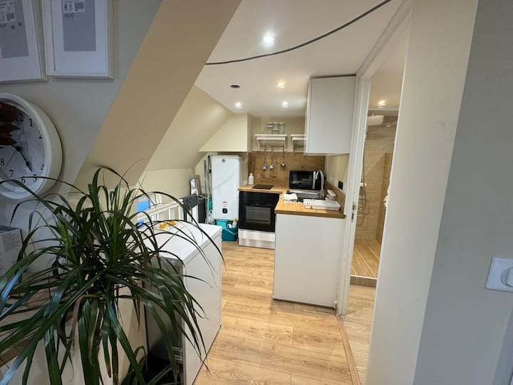 Appartement F1 Meublé - Estrasburgo