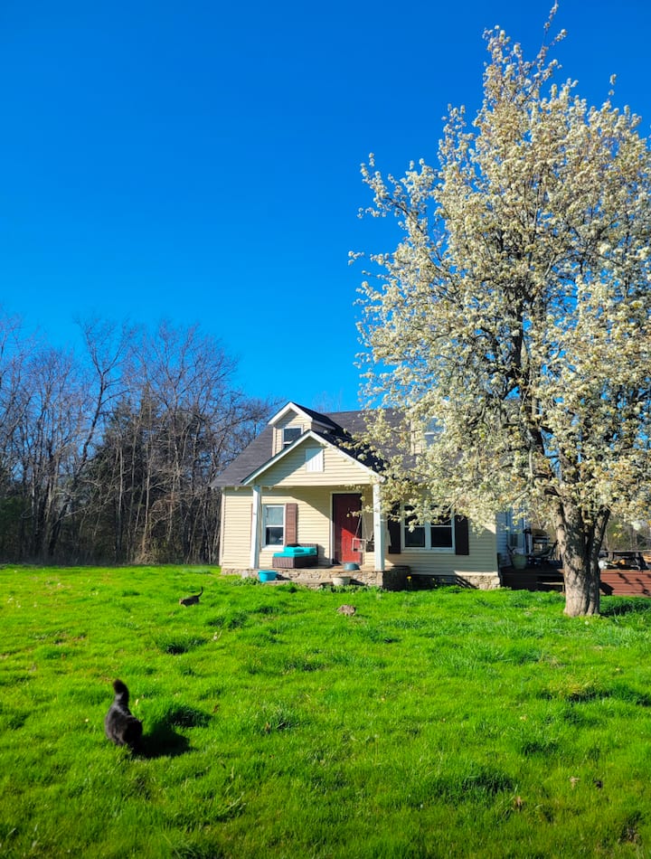 Solid Rock Farm - Lewisburg, TN