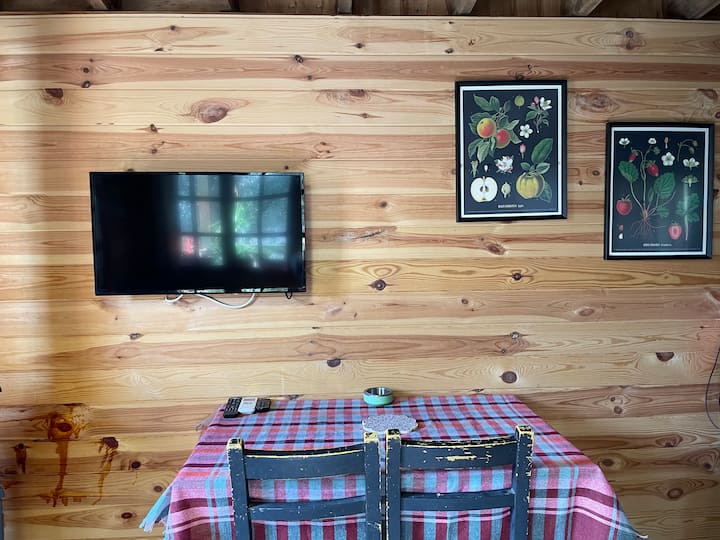 Yeninesilköyevi/isıtmalıhavuz/barbekü/şömine - Aydın