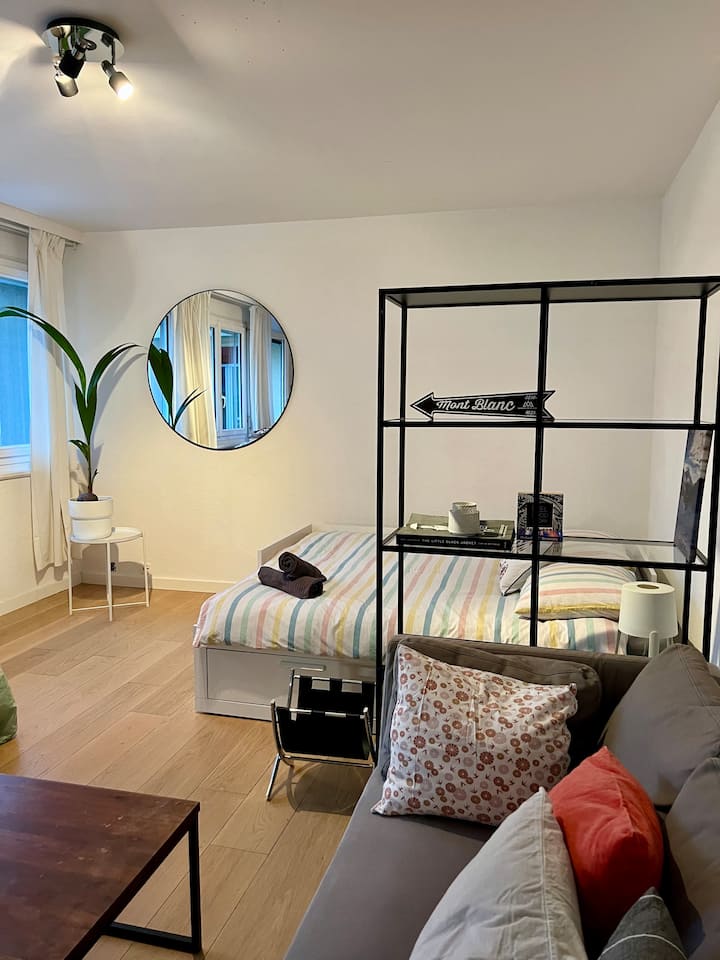 Beautiful Central Apartment Ge - Geneva