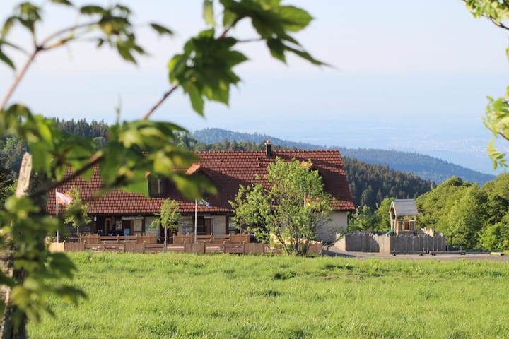 Gîte Du Ballon D’alsace - Lac d'Alfeld