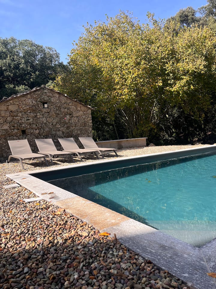 Maison Familiale Avec Piscine - Bastelica