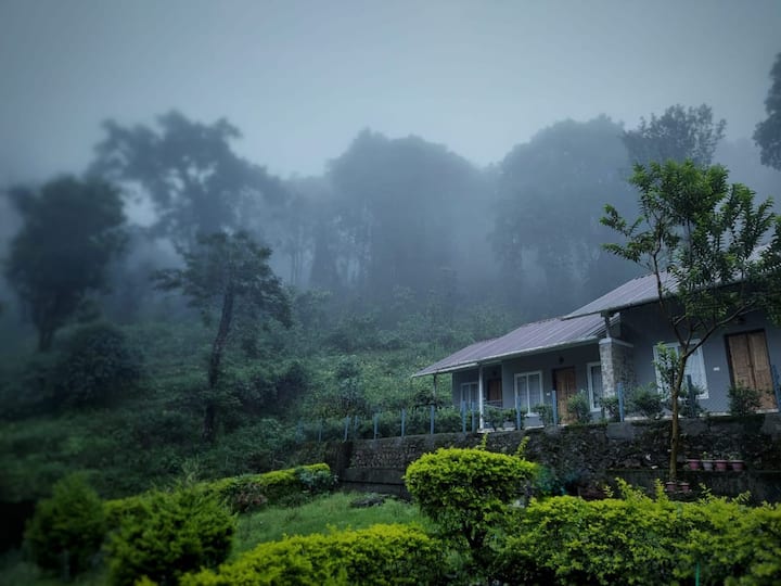 Suite Room With Plantation View - Munnar