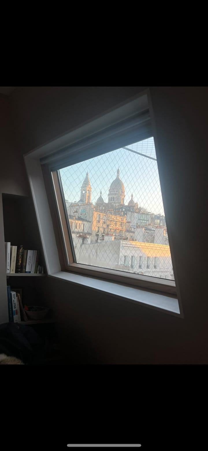Vue Imprenable Sur Montmartre - 