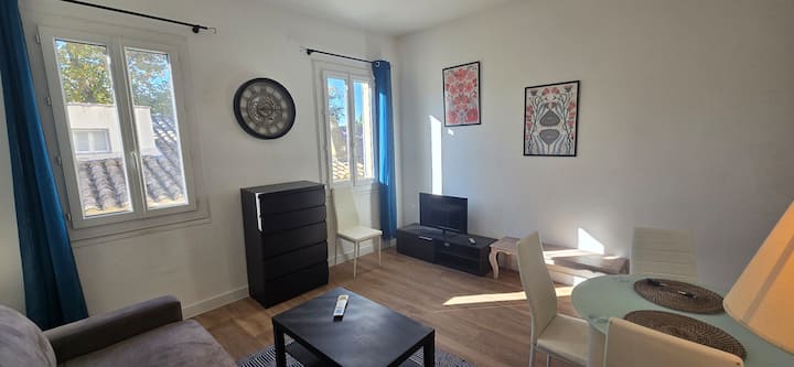 T1  Climatisé, Intra Muros , Vernet, Très Lumineux - ibis budget Avignon Centre