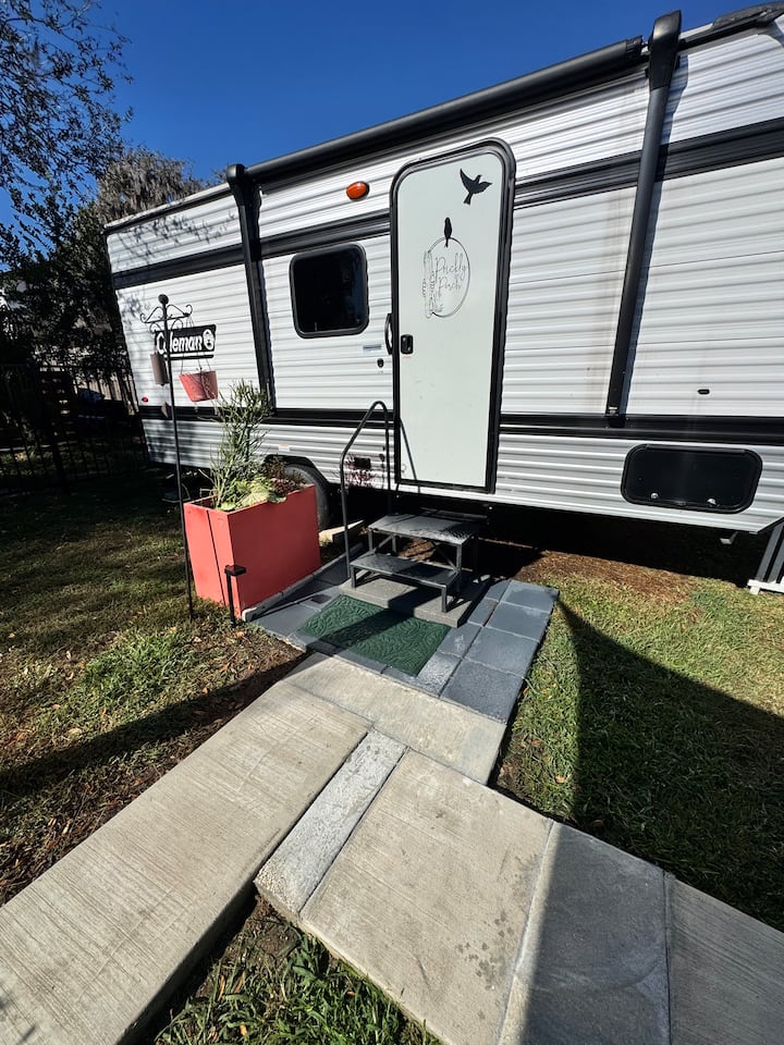 The Prickly Perch! Relaxing In This Hustle - Lakeland, FL