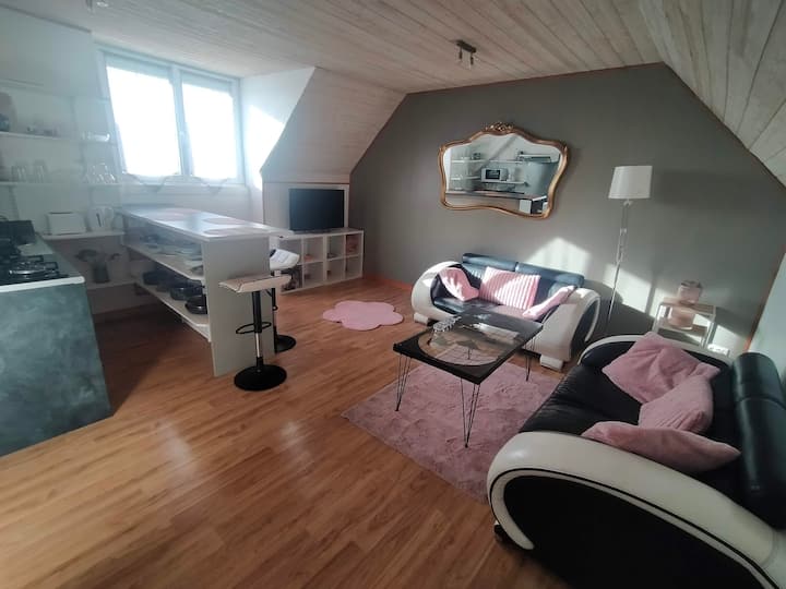 La Vie En Rose, Vue Ville Close - Concarneau