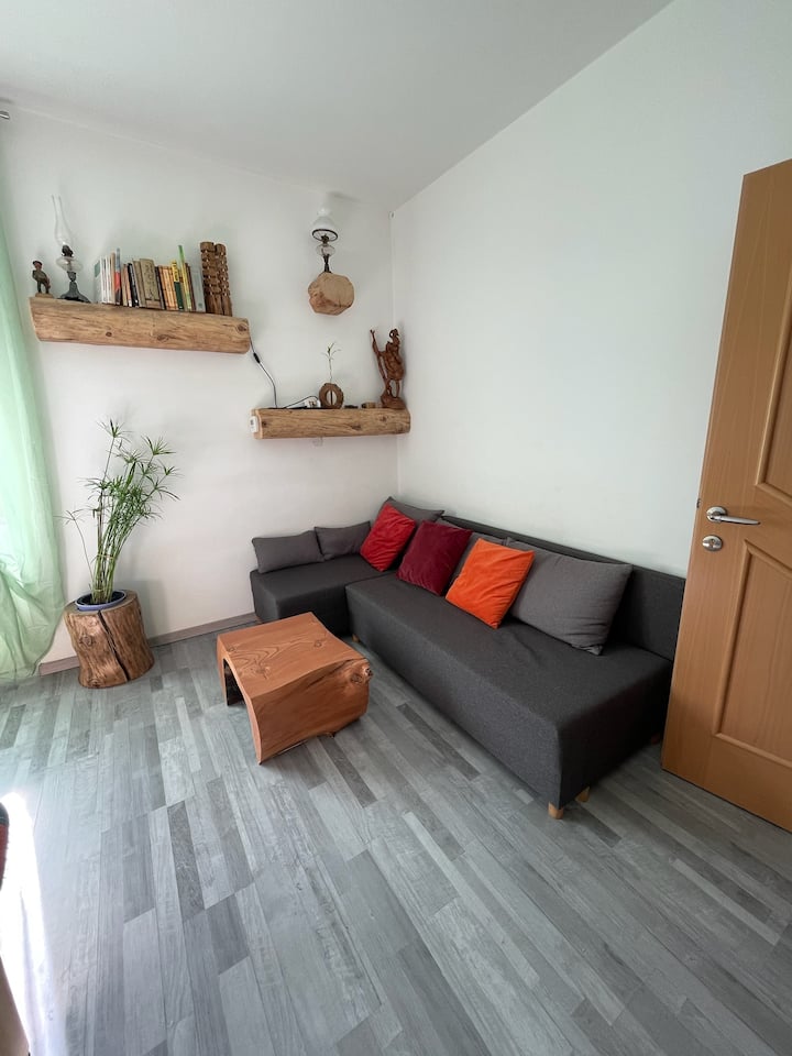 Apartment Dolomites - Predazzo