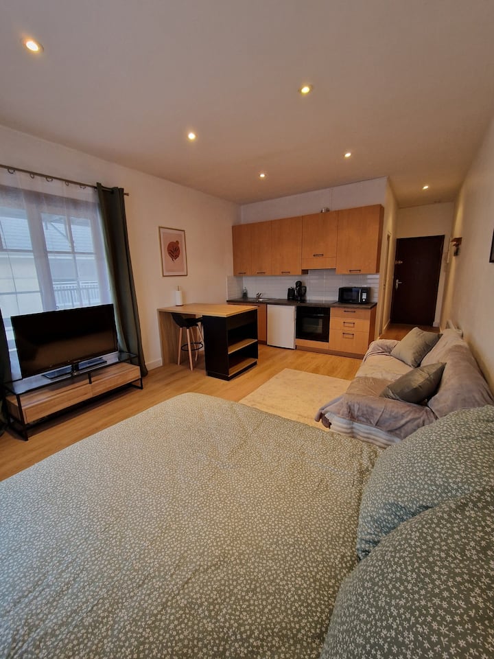 Studio Relax - Thonon-les-Bains