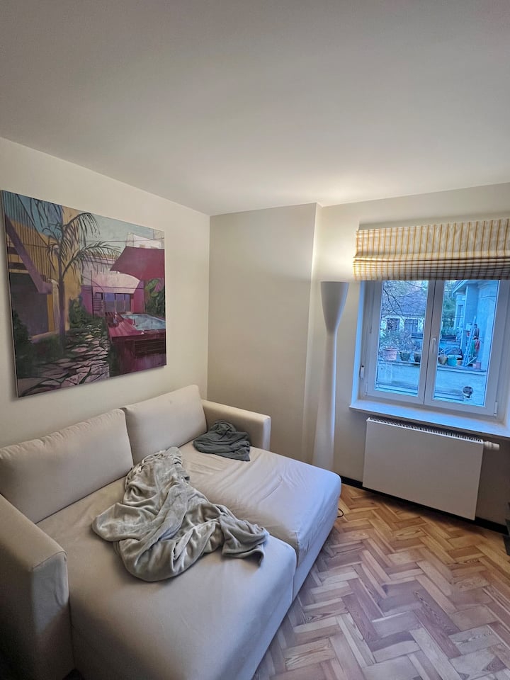 Ruhige 2-zimmer-whg Schwabing/maxvorstadt 52qm - München