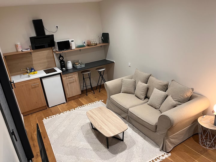 Studio Aux Pieds Des Montagnes - Chambéry