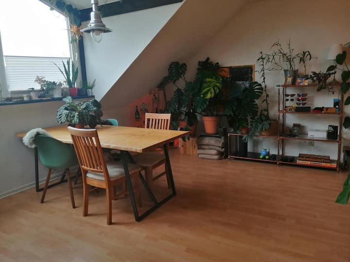Helle
2 Zimmer Mit Dachterrasse - Bonn