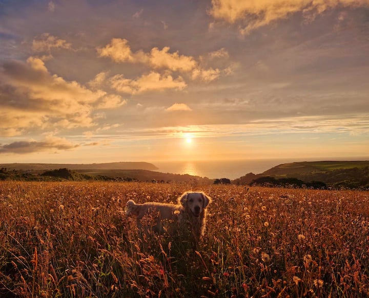 Plas Y Wern Holidays - Awel Y Mor Dog Coast Hottub - Pembrokeshire