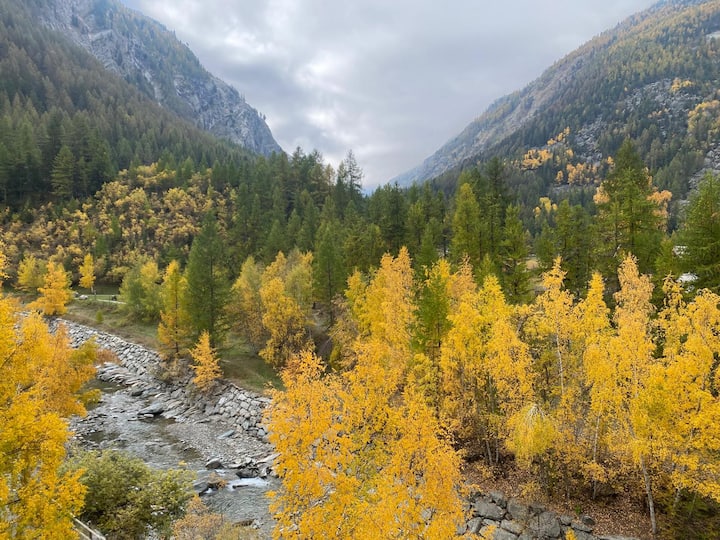 La Tranquillità Delle Montagne - Cogne