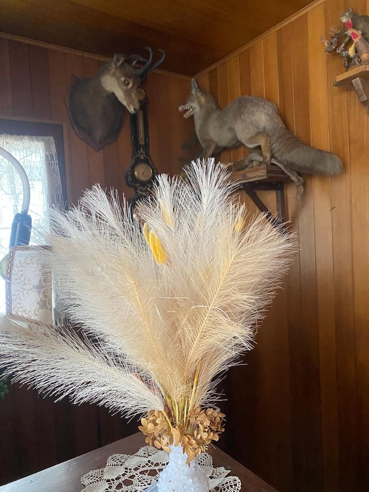 La Tranquillità Delle Montagne - Cogne