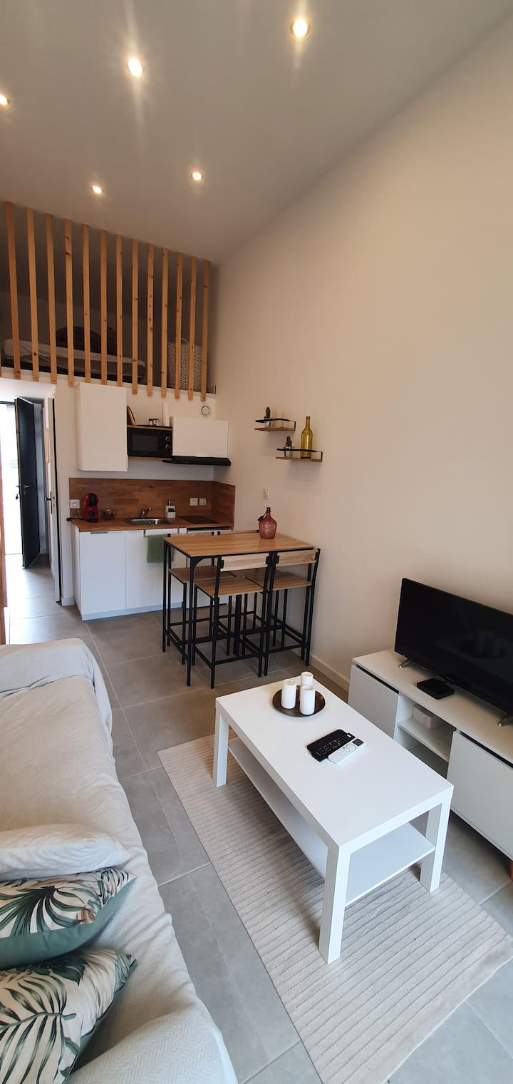 Studio Mezzanine Avec Jardin - Fabrègues