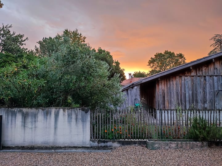 Maison De 4 Chambres- Piscine - Biscarrosse