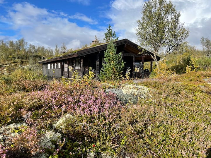 Koselig Hytte På Fjellet
Strøm Og Ved Med I Prisen - Haukeli