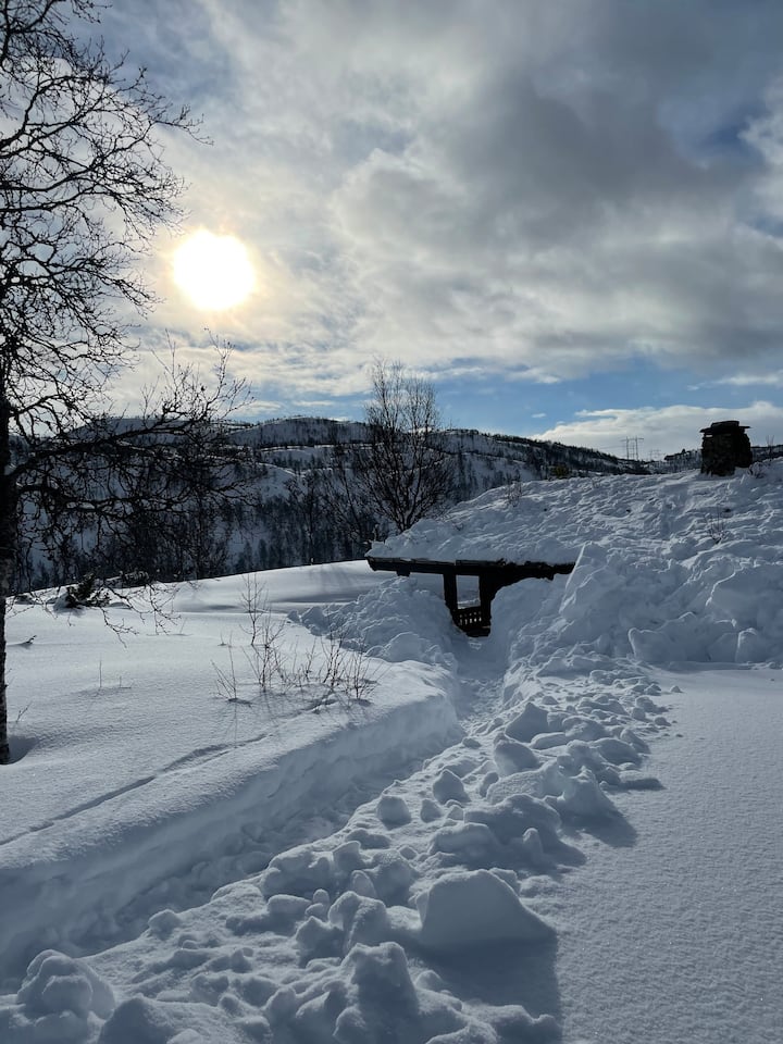 Koselig Hytte På Fjellet - Haukeli