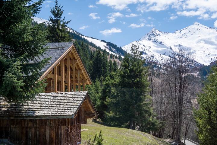 Chalet Bb - Méribel