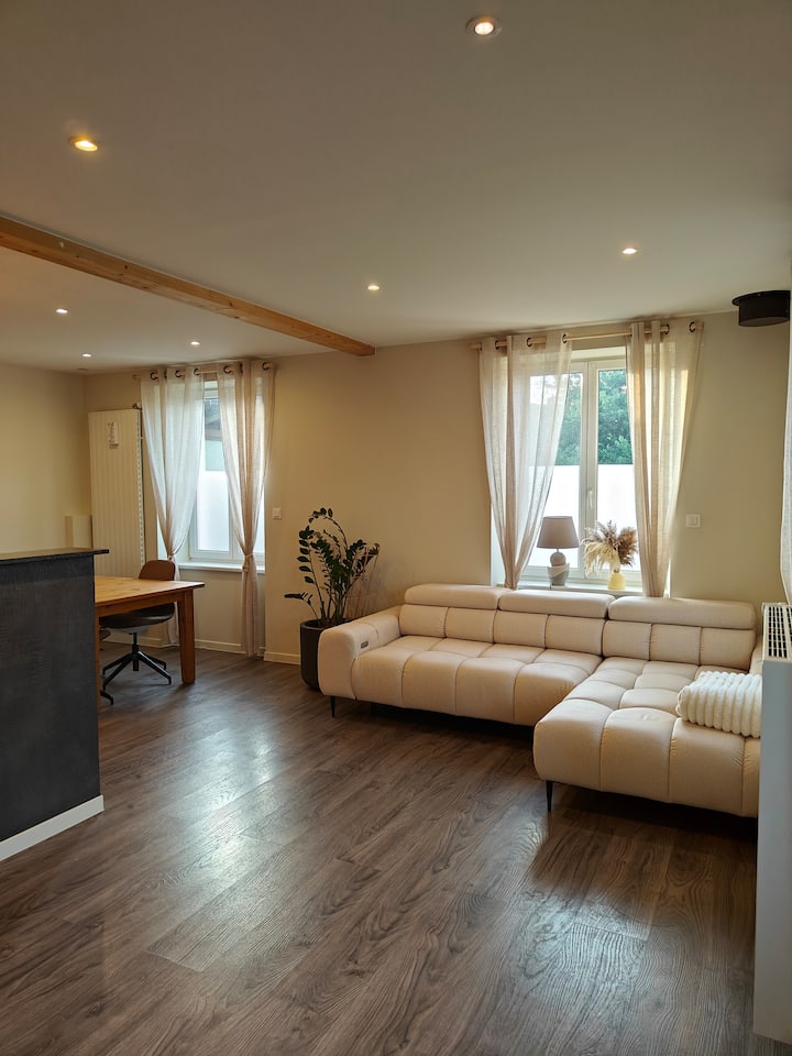 Maison Familiale Avec Extérieur - Sélestat