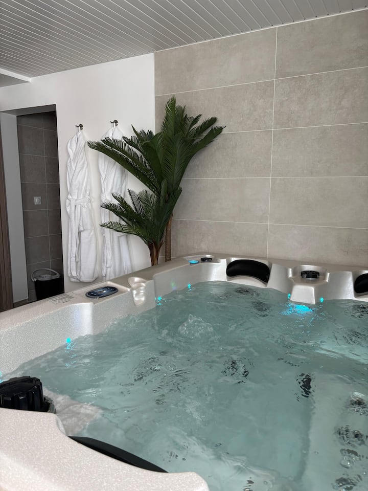 Venus Location - Loft Clim + Spa - Martinique