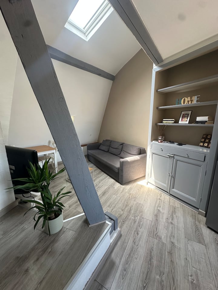 Charmant Appartement Intra-muros - Avignon