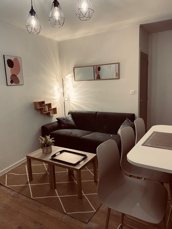 Appartement Moderne Confort Balcon Parking Et Wifi - Niort