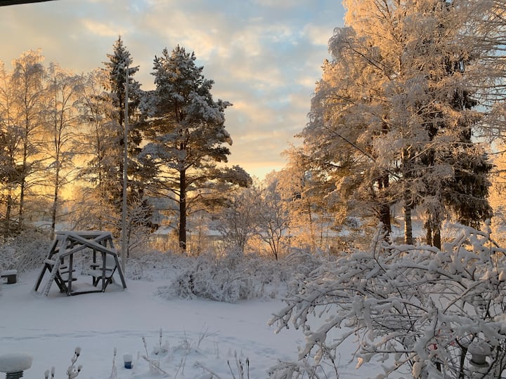 Peaceful Retrohome On The River Bench - Oulu