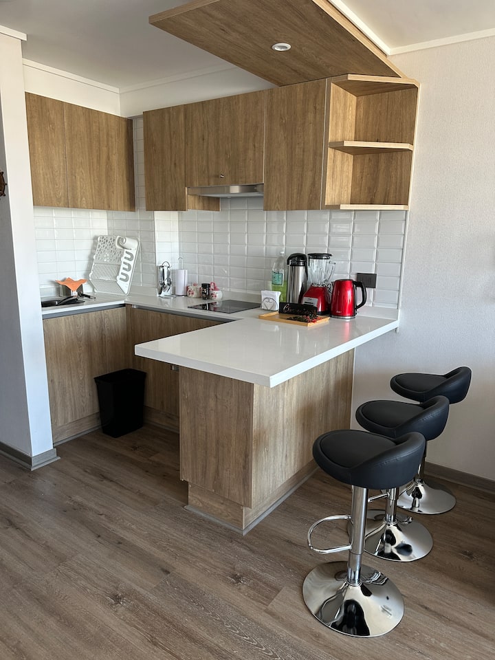 Departamento Con Estacionamiento A 5 Min De Malls - El Bosque, Chile