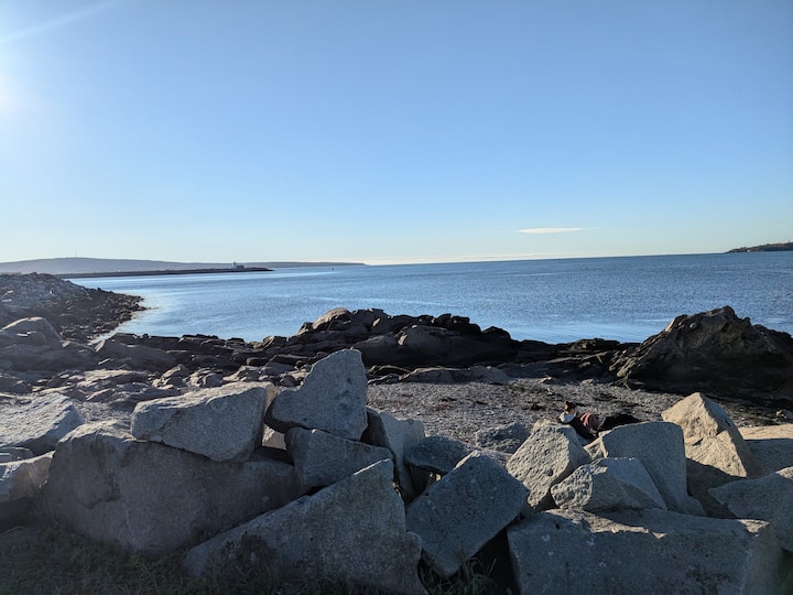 1 Bed & Den Tiny House In Uptown - University of New Brunswick Saint John (UNBSJ)