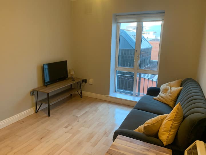 One Bed Apartment In Dublin 1 - Dublin