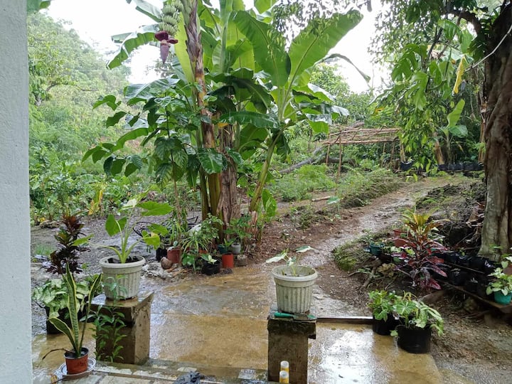 Connect With Nature Bayaban Farm - Catanduanes